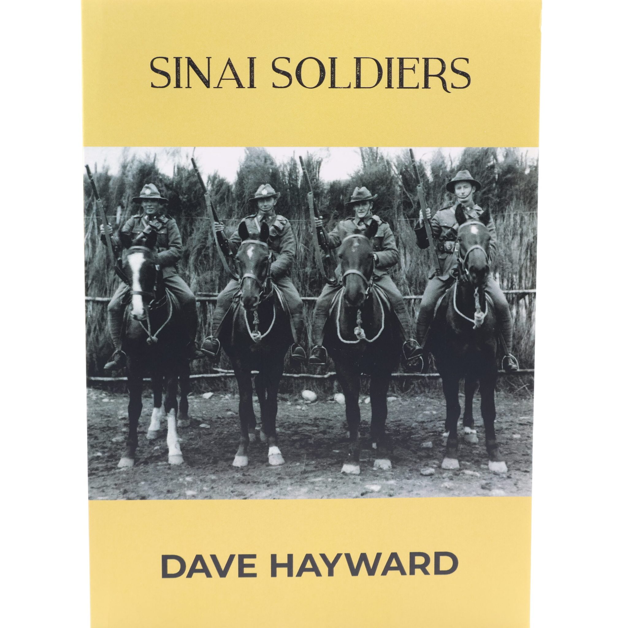 Sinai Soldiers, by Dave Hayward | National Army Museum